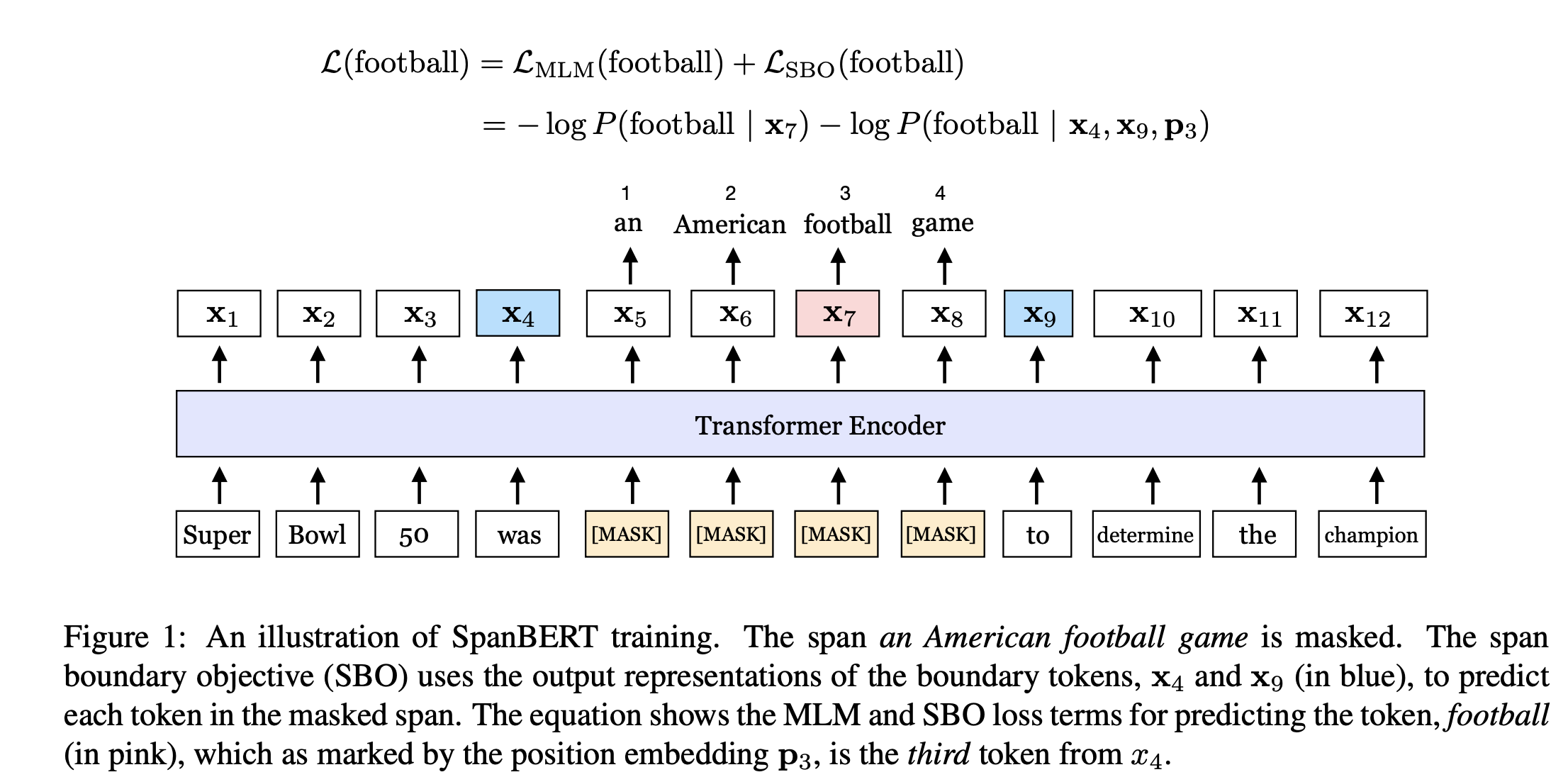 SPANBERT - Ethan Kim